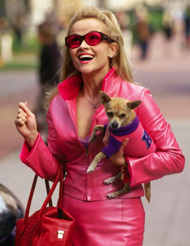 25 anos de Legalmente Loira: como Elle Woods transformou o rosa em um ...